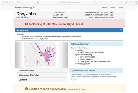 Figure 4 From Current Status Of Discrete Data Capture In Synoptic