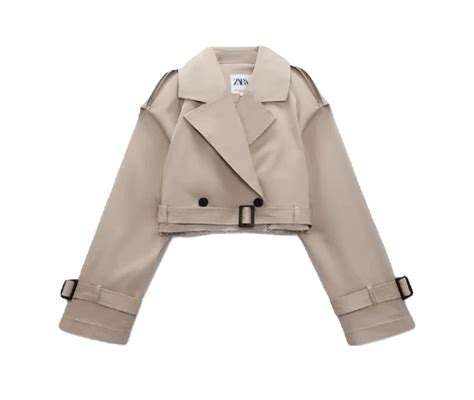 자라 크롭 트렌치코트 당근 중고거래