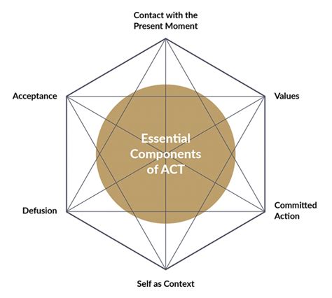 How To Apply Act In Group Therapy 3 Workshop Activities