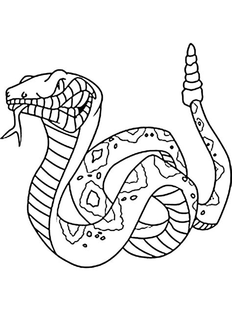 Картинки раскраски змея