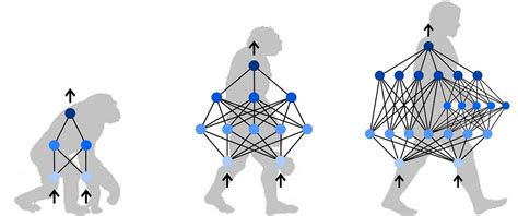 Show Learnmachinelearning A Primer On The Fundamental Concepts Of