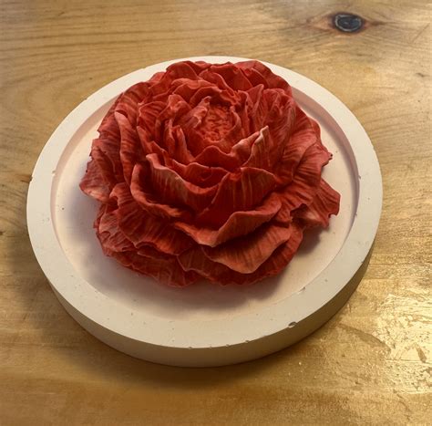 Aromatic Peony Diffuser With Tray Wax And Blanks