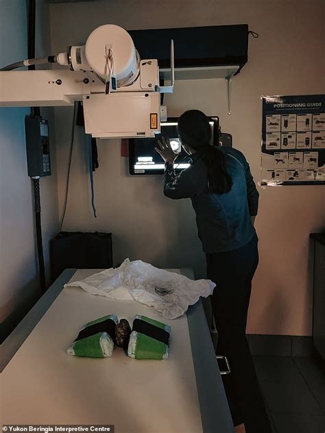 Mysterious Fur Ball Found Frozen In Canada Turns Out To Be A Mummified Squirrel Daily Mail Online