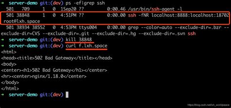 ssh远程端口转发（打洞） ssh fnr csdn博客