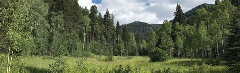 Holy Ghost Creek Trail New Mexico 300 Reviews Map Alltrails