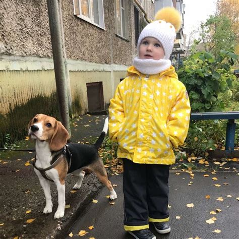 Детская шапка спицами