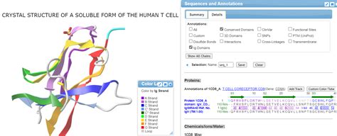 3d Protein Structure Viewer