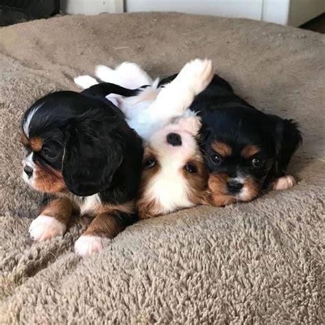 Katie Sumner Sumnerkatie Profile Pinterest