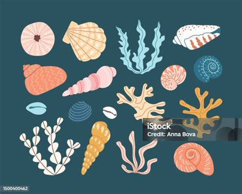 조개껍데기 산호 조류가 파란 배경에 있다 손으로 그린 다채로운 그림 벡터 해저 세트입니다 플랫 만화 스타일 여름 휴가 컬렉션