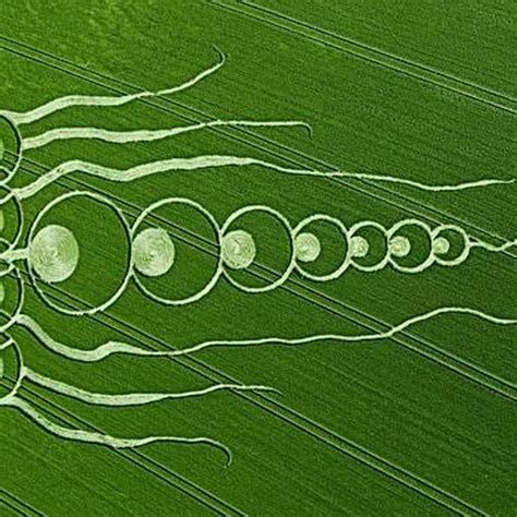 Stream Final Project Sketch By Earthworm In Disguise Listen Online