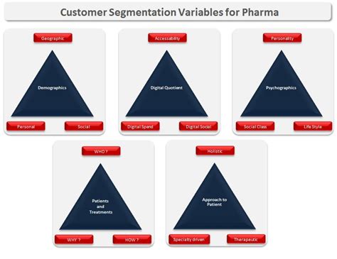 Learning Contributing And Developing Segmentation Variables