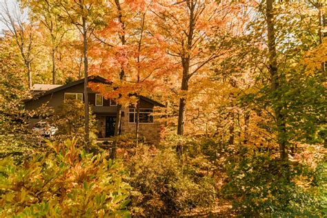 10월 가을 가을 색 가을 풍경 경치 경치가 좋은 계절 계절의 변화 계절의 아름다움 고요한 나무 나무 위의 집 나뭇잎 노란 잎 농촌의 다채로운