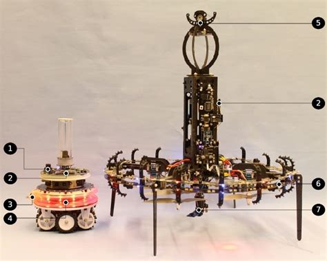 Figure 2 From Supervised Morphogenesis Morphology Control Of Ground Based Self Assembling