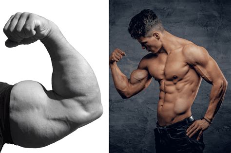 The Only Chest And Bicep Workout You Need Get Big And Strong