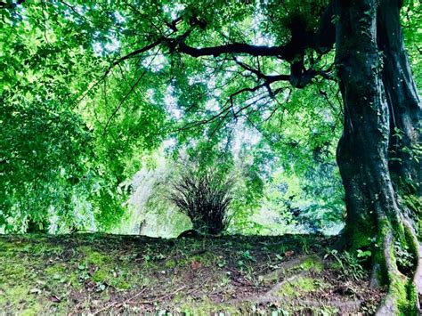 Sofia Neri On Linkedin Am I Awake Or…