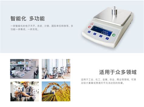 TD系列 大量程电子天平 分析精密天平 产品中心 天马衡基仪器 铂金坩埚 精密电子天平 密度电子天平