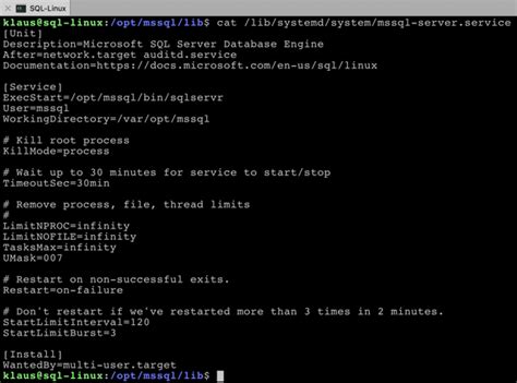 Sql Server On Linux How Does It Actually Work Sqlservercentral