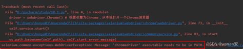 Pythonseleniumchromedriver的配置和问题解决chromedriver 不依赖浏览器 Csdn博客
