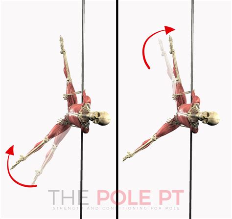 Lets Hang Pole Anatomy Bat Wing The Pole Pt