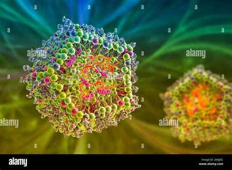 Lipid Nanoparticle MRNA Vaccine Illustration Stock Photo Alamy
