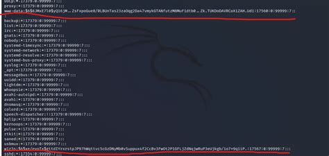 全网最详细的渗透测试靶机实操步骤——vulnhub靶机实战（三）w1r3s 101通过phpstream访问configuration