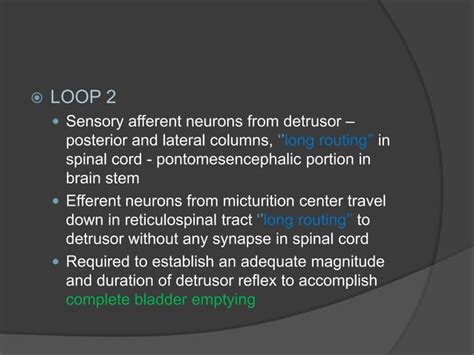 Bladder And Its Dysfunction Pptx