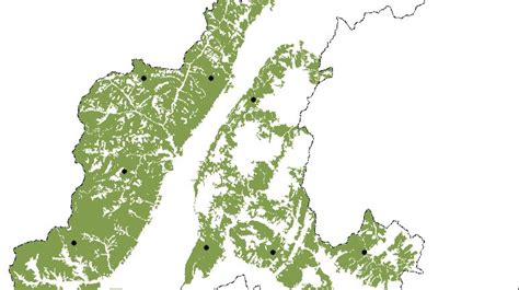 Gis