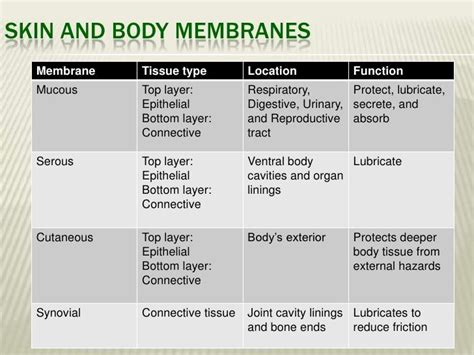 Membranes Chart Basic Anatomy And Physiology Anatomy And Physiology