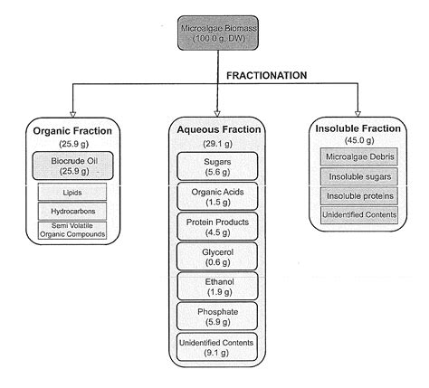 Algae Biomass Fractionation Eureka Patsnap