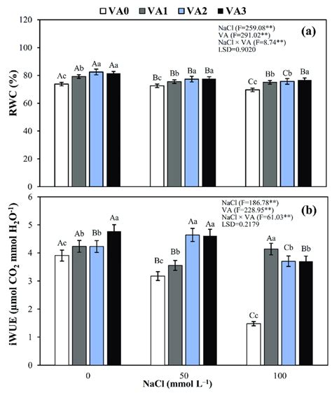 Relative Water Content Rwc A And Water Use Efficiency Iwue B Of Download Scientific