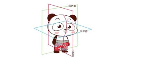 冠状面矢状面水平面如何区分 知乎