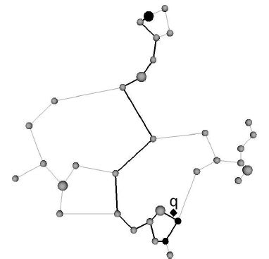 An Example Of NN Search In NA Graph In The Graph The Seeds Have A Download Scientific Diagram