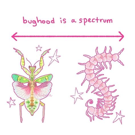 Pin By Strawberry On Aesthetic Bug Art Beautiful Bugs Cool Bugs