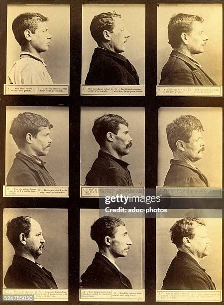 33 Anthropometric Measures Photos And High Res Pictures Getty Images