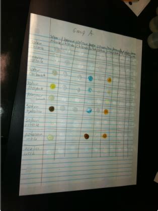 Net Ionic Equations Lab AP Chemistry Labs