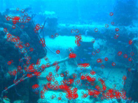 First Row An Overview Example A Trajectory According To The Download Scientific Diagram