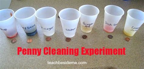 Penny Cleaning Experiment What Cleans Pennies Best