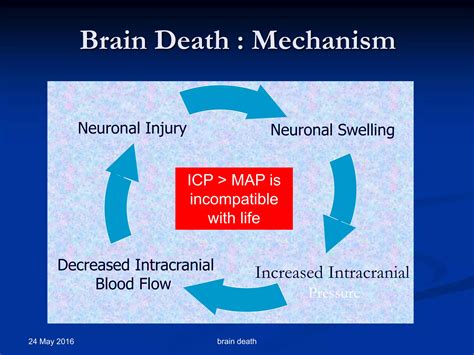 Brain Death Presentation Pptx