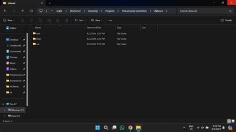 Pneumonia Detection From Chest X Ray With Flask App Deep Learning Project VTUPulse
