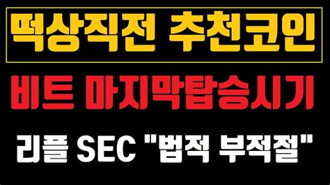 비트코인 리플 이더리움 마지막 탑승이 될수있다 알트코인 추천페이코인 옵저버 아르고 무비블록 마로 리퍼리움 Youtube