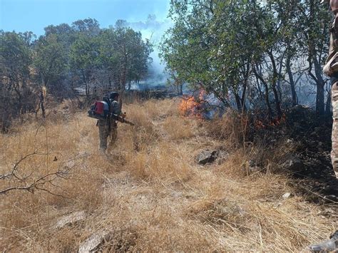 ه بەڕێوەبەرایەتی پۆلیسی دارستان و ژینگەی پارێزگای سلێمانی Facebook