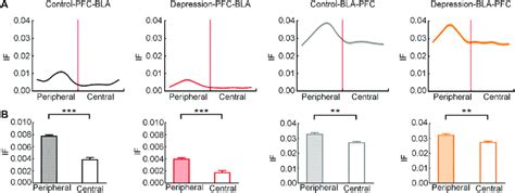 Information Flow If Of The Mpfc Bla And Bla Mpfc Between The