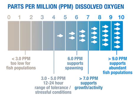 Dissolved Oxygen In Water Ppm For Fish Atlas Scientific Dissolved Oxygen In Water Ppm For Fish Atlas Scientific