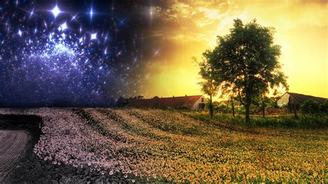 무료 이미지 나무 자연 하늘 들 햇빛 아침 별 저녁 가을 스크린 샷 무광택 그림 1920x1080 686919 무료 이미지 Pxhere
