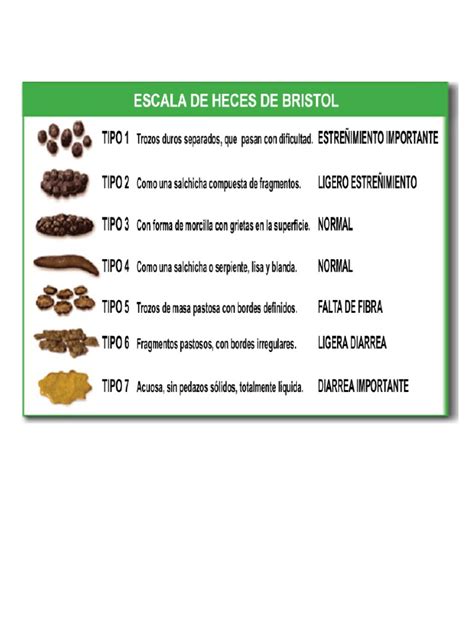 Escala De Bristol Pdf Pdf