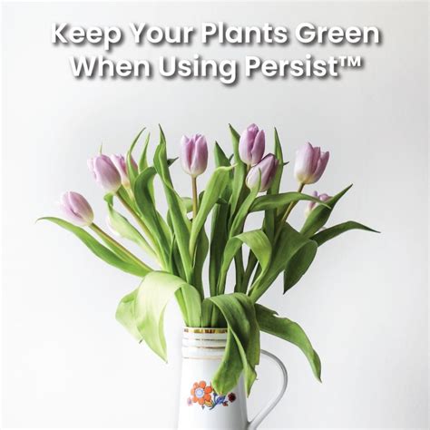 persist on linkedin persist persistncp biochar