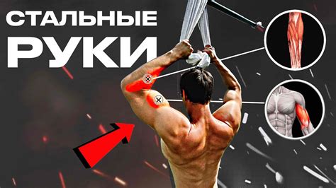 ЭТИ УПРАЖНЕНИЯ ИЗМЕНЯТ ТВОИ РУКИ ТРЕНИРОВКА БИЦЕПСА И ПРЕДПЛЕЧИЙ Youtube