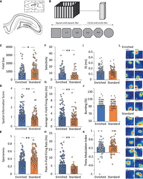 Increased Flexibility Of Ca3 Memory Representations Following