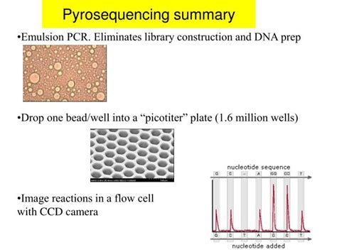 Ppt Genomic Dna Cloning Powerpoint Presentation Id 3922446