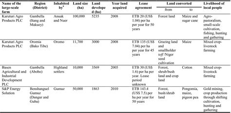 Conceptual Framework Economic And Agricultural Transformation Through Large Scale Farming I